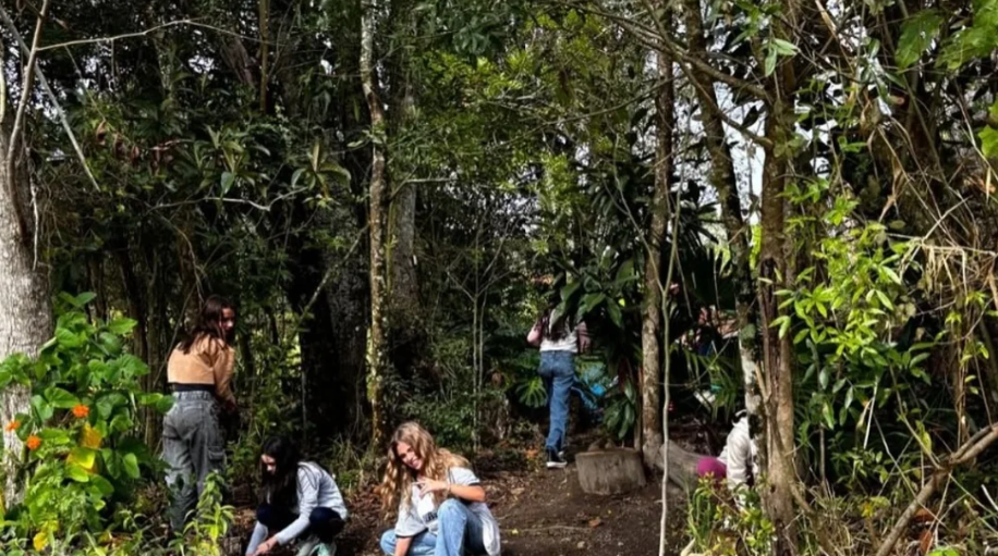 PROJETO REGENERAR LEVA EDUCAÇÃO AMBIENTAL A 500 ALUNOS DA REDE ...